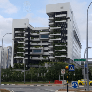 JC Cut Off Points 2024 - JC School Ranking - Latest Update